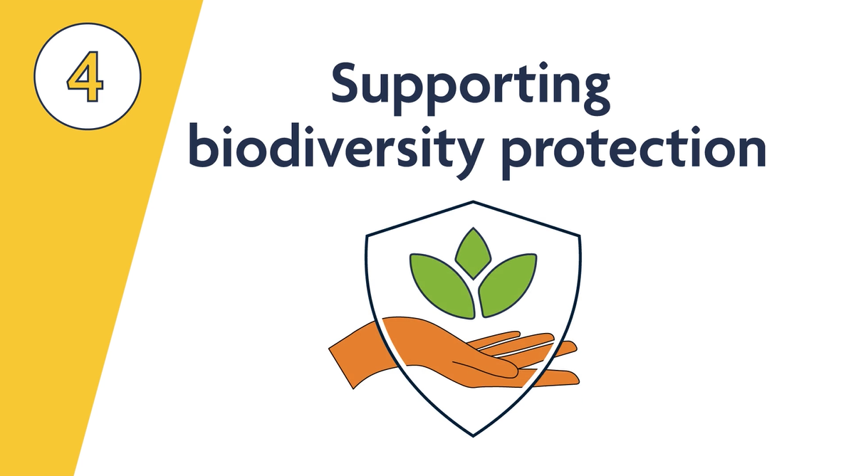 Bioeconomy in action: Discover the benefits of first-generation biomass ...